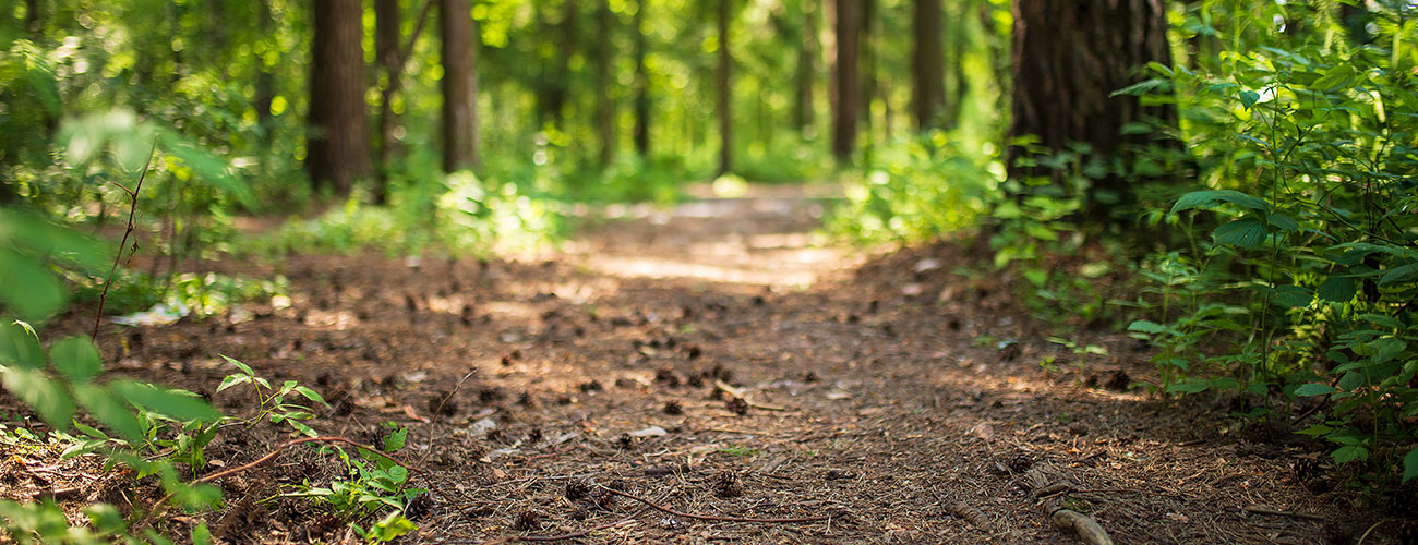 Our Early Life Experiences Shape Who We Are, how We Think, how We Feel ...