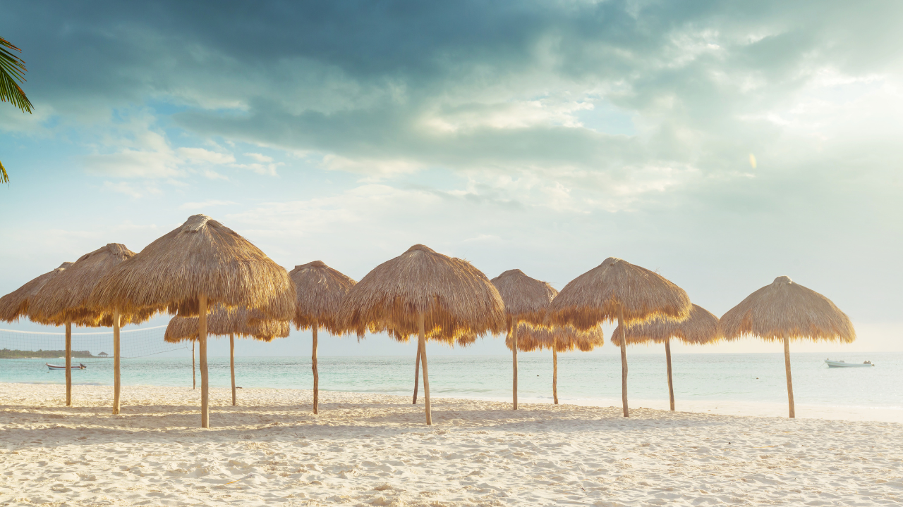 The best beach Zoom background for when you’re dreaming of a tropical ...
