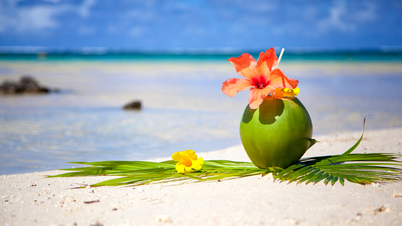 The best beach Zoom background for when you’re dreaming of a tropical ...