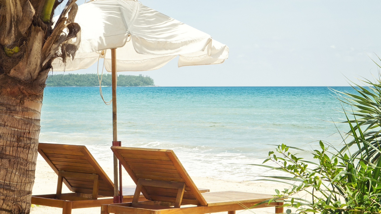 The best beach Zoom background for when you’re dreaming of a tropical ...