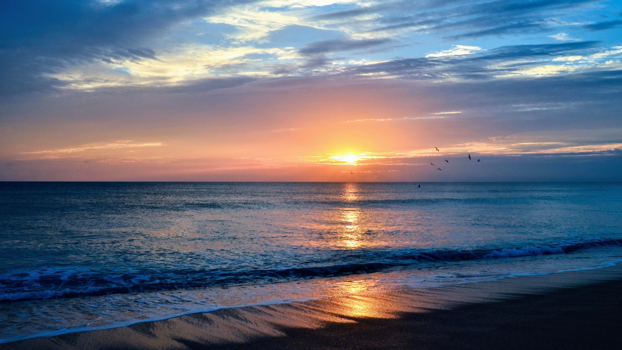 The best beach Zoom background for when you’re dreaming of a tropical ...