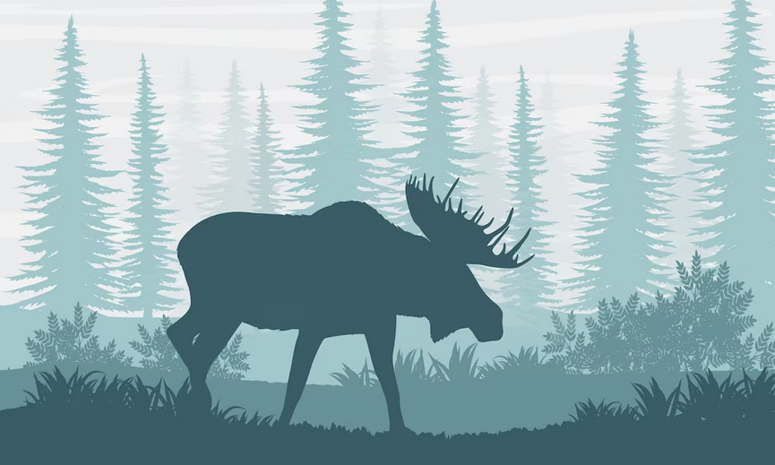 Creative Event Ideas for Moose Lodges