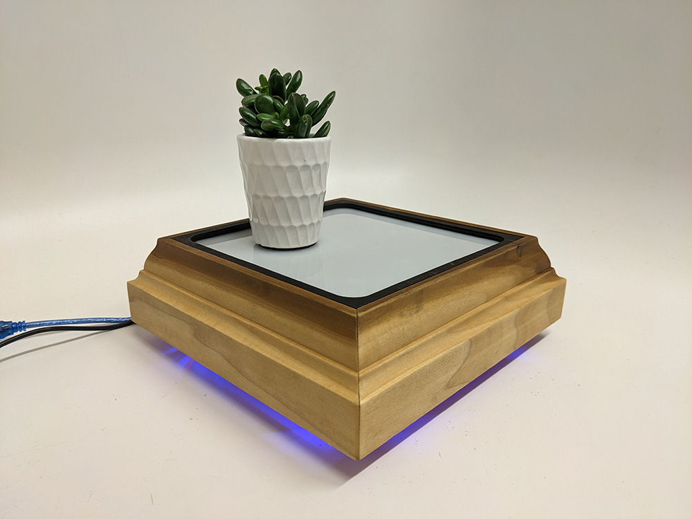 photosynthesis // Synthesizer by Jyotsna Venkatesh + Andy DiLallo ...