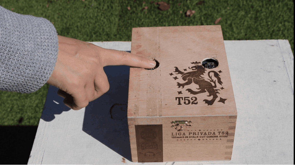 CO-WAVE // Synthesizer by Jenni Hutson + Olifa Hsieh + Ryan Millett ...