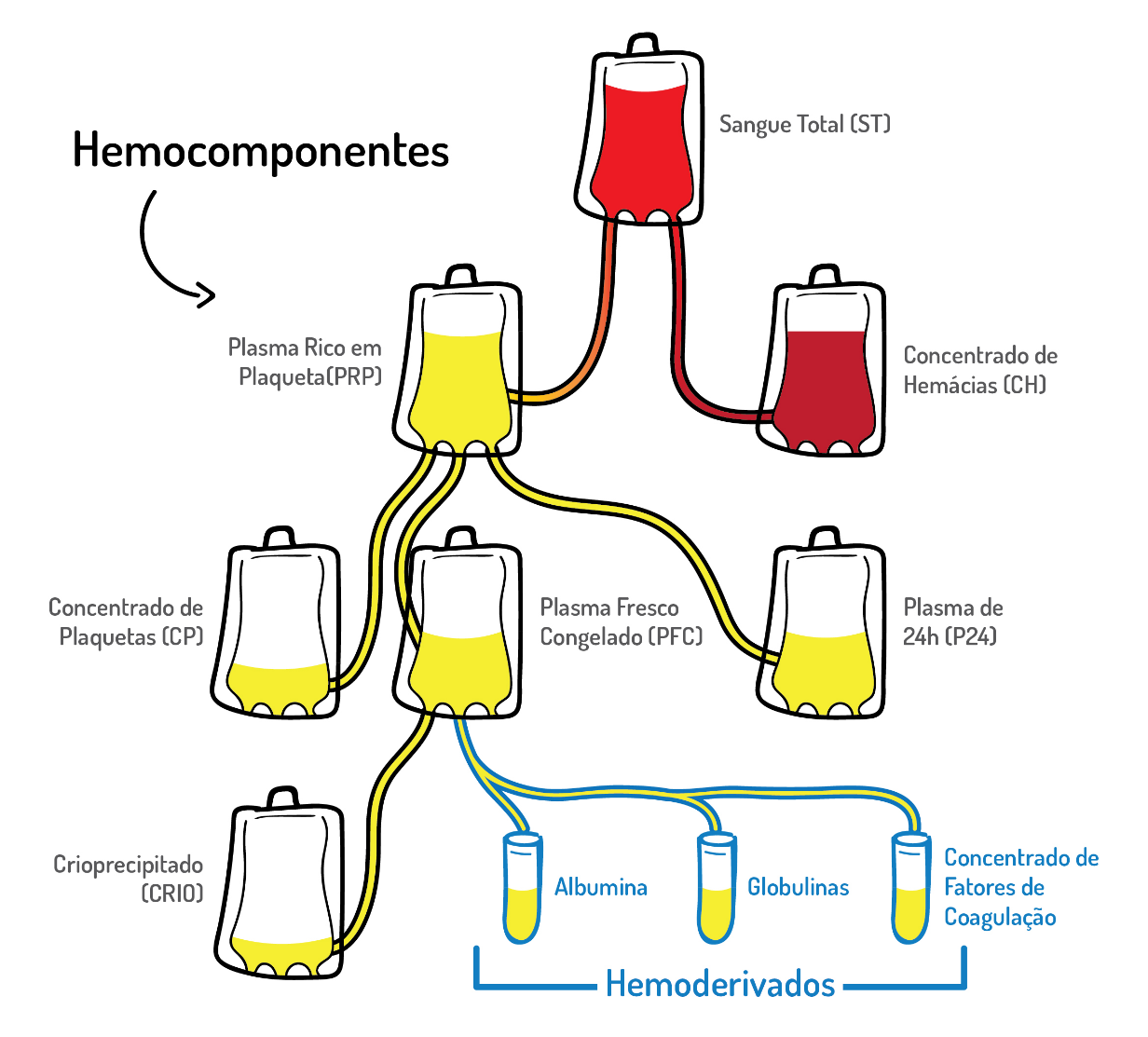 Hematologia: Hemocomponentes e hemoderivados: crioprecipitados e reação ...