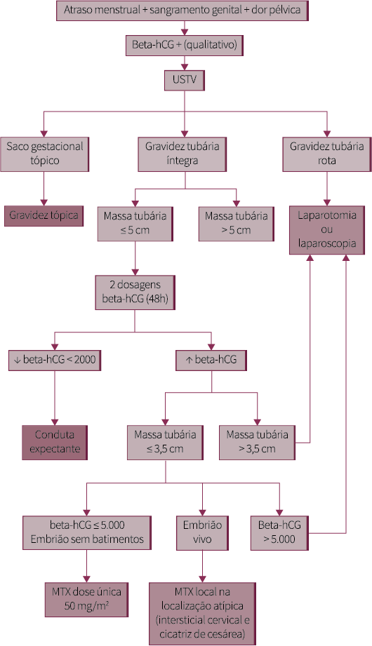 Ginecologia e Obstetrícia: Sangramento na primeira metade da gestação ...