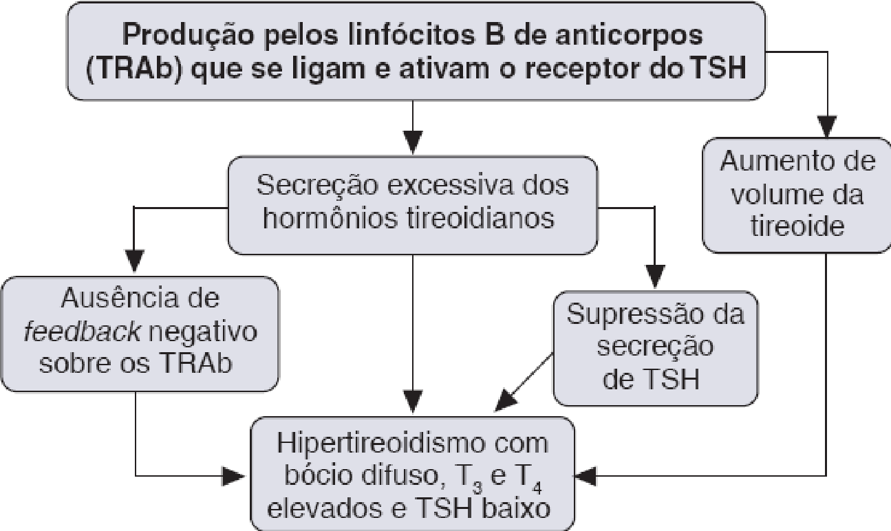 Endocrinologia: Hipertireoidismo: o que causa, sinais e sintomas e como tratar