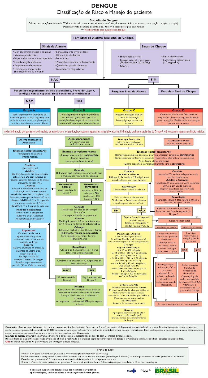 Infectologia: Dengue: fisiopatologia, tipos, sintomas e tratamentos