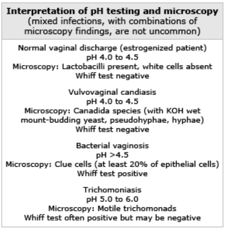 Ginecologia e Obstetrícia: Vaginose bacteriana: causa, sintomas e ...