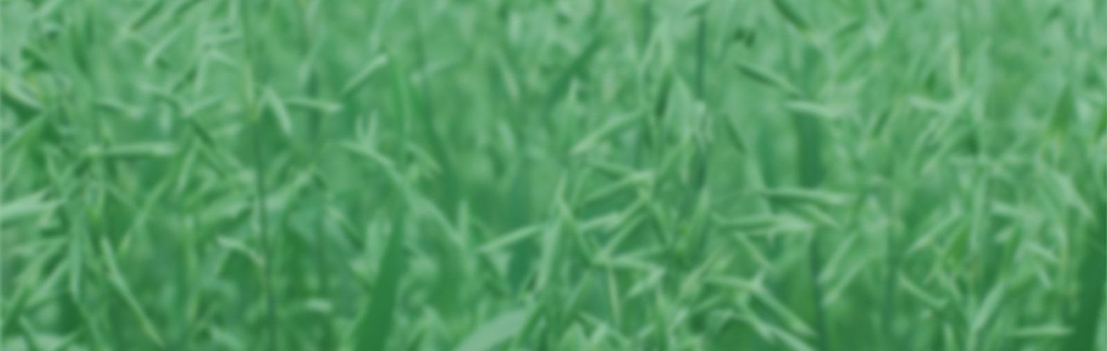 About Us - AgriFiber