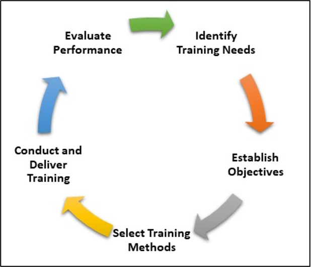 Employee Training and Development Methods with Examples | Waybook Blog