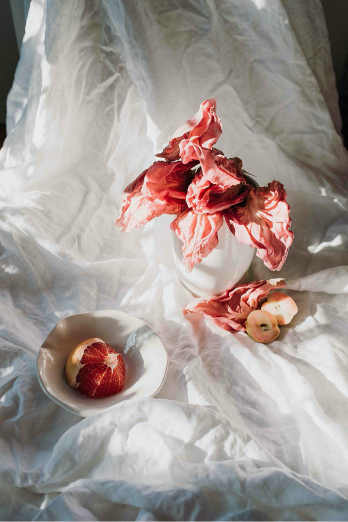 Marissa Lippert: Work