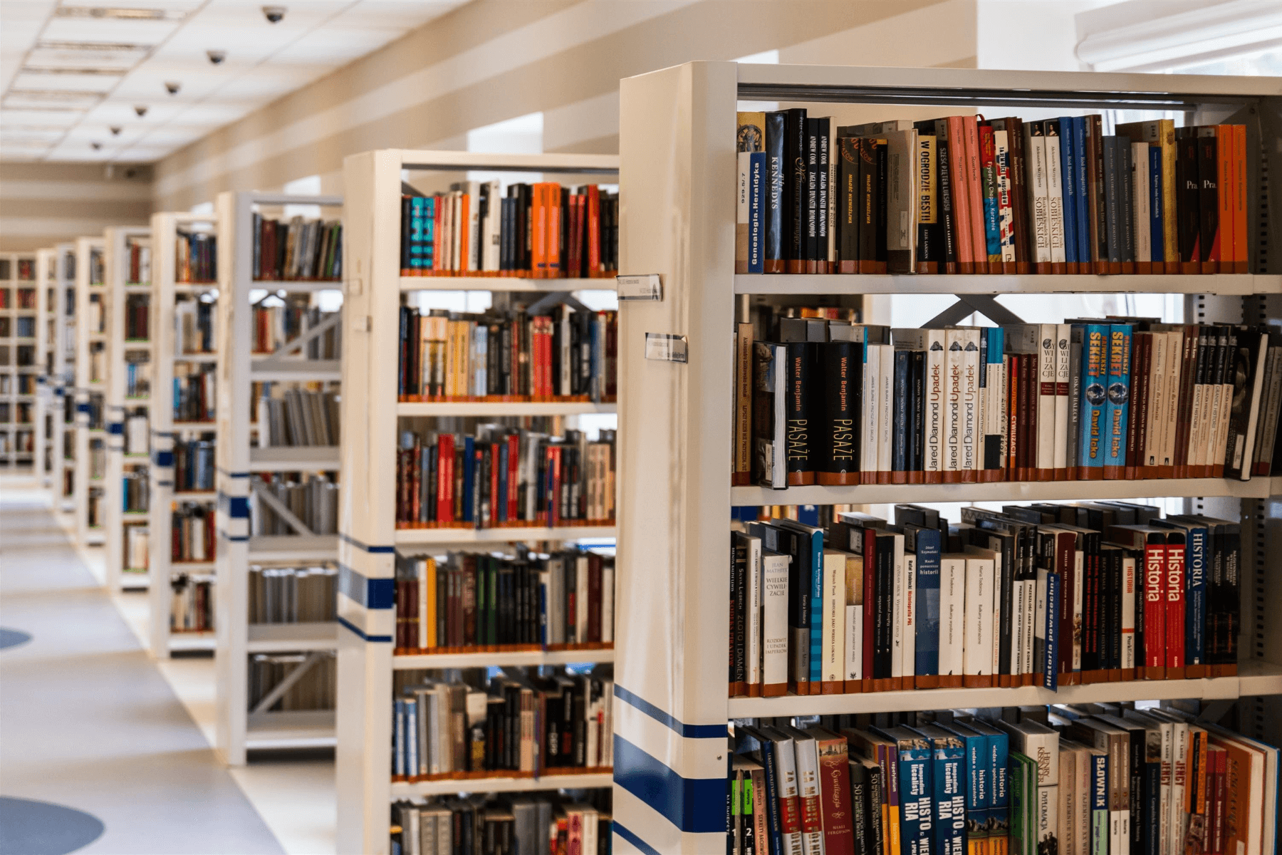The Benefits of Frequent Library Visits for Older Adults