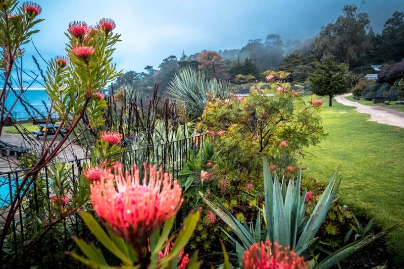 Esalen Institute | A Leading Center for Exploring Human Potential