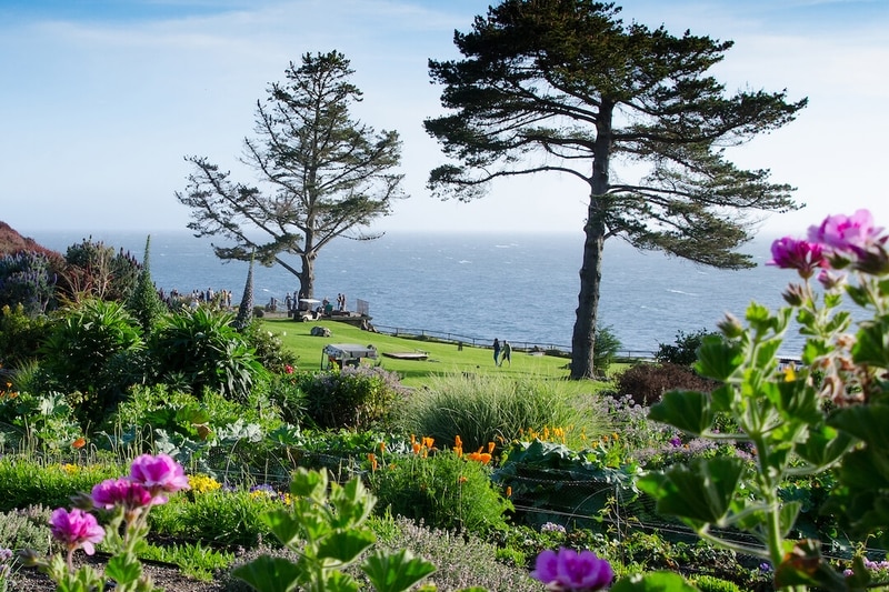 Esalen Institute | A Leading Center for Exploring Human Potential