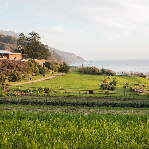 Esalen Institute | A Leading Center for Exploring Human Potential