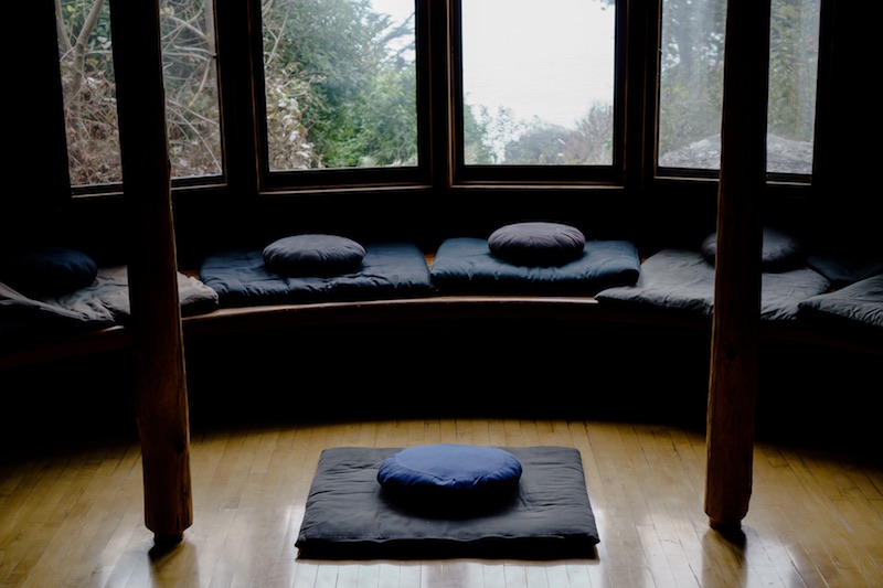 Dan Zigmond | Faculty Member | Esalen
