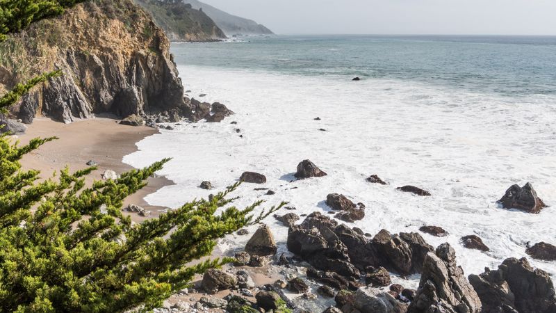 Marisa Radha Weppner | Faculty Member | Esalen