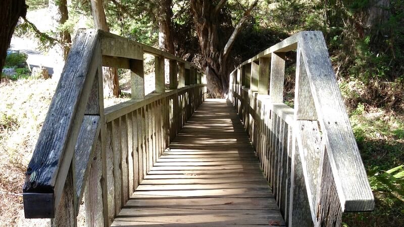 Esalen Journal | The Parallel Journey with LaVerne McLeod