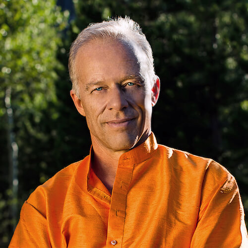 Rod Stryker: Yoga Pedagogy, Hierarchies, and the Quest for Relational ...