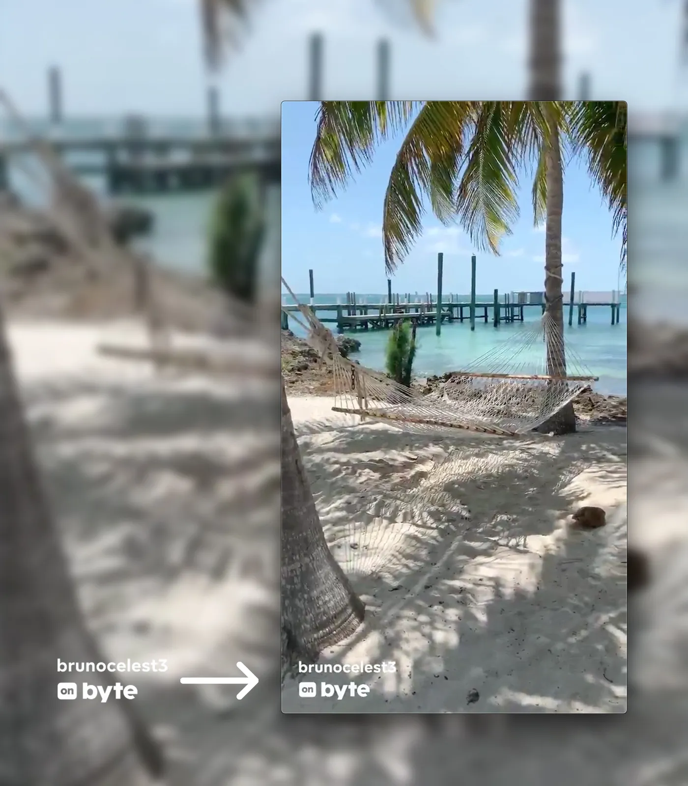 Video Transcoding | Video Encoding | Coconut