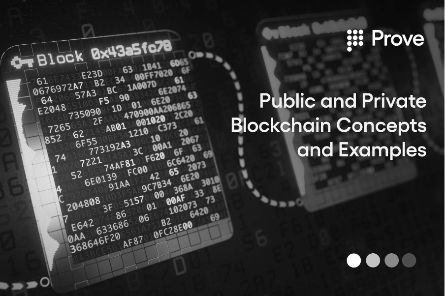 Public and Private Blockchain Concepts and Examples