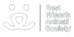 Clay Humane - Clay County Humane Society in Orange Park, Florida