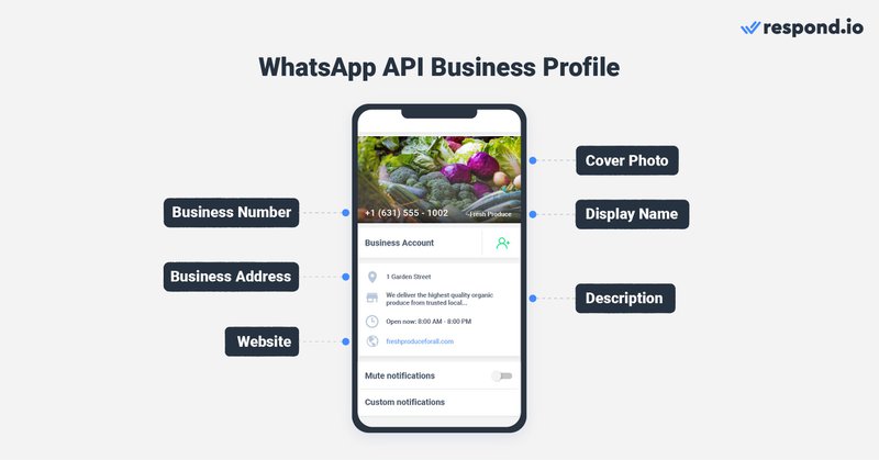 WhatsApp API for Business: The Ultimate Guide [Mar 2024]