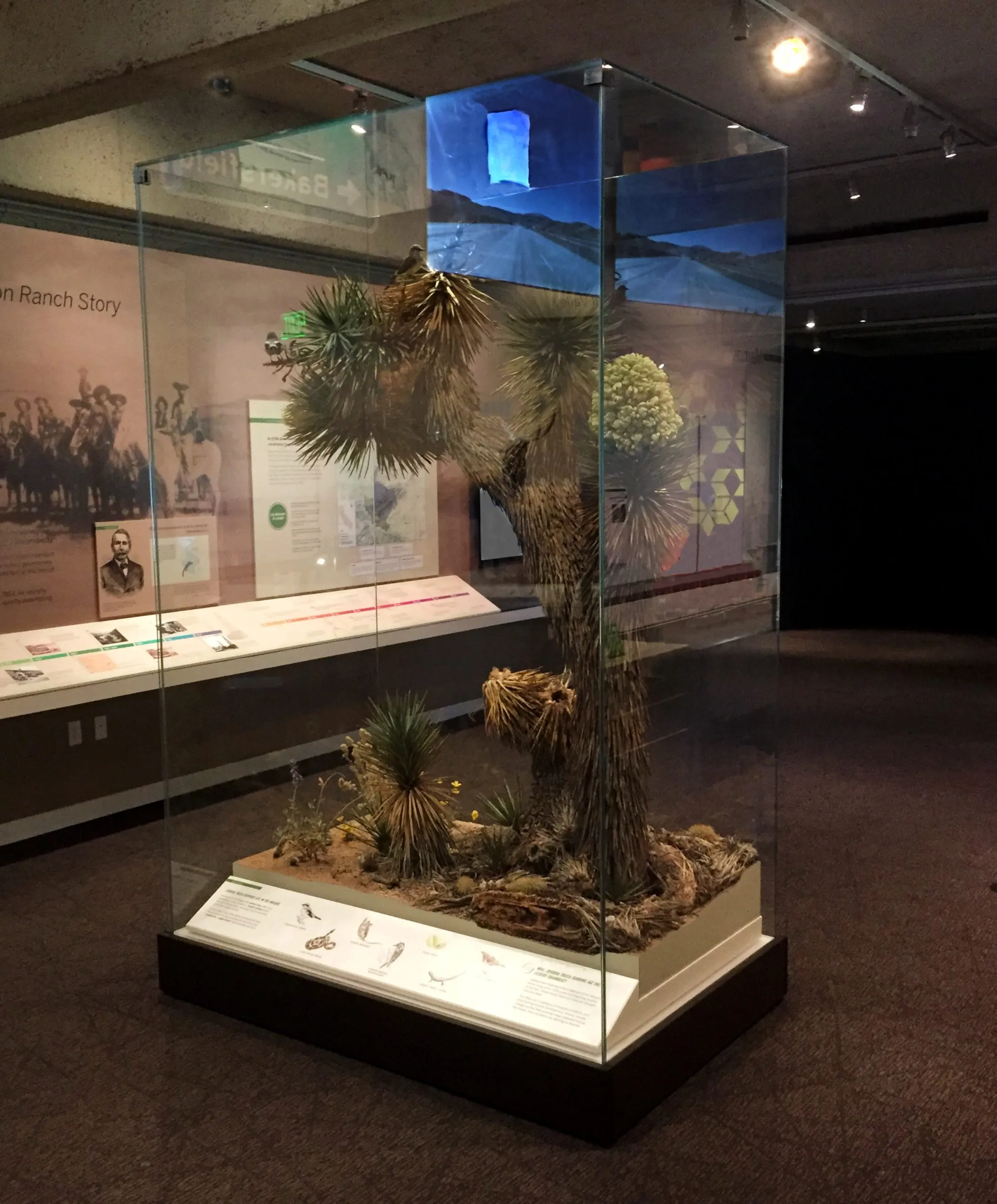 Museum | Glass and Glazing