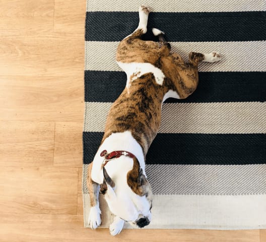 About | Red Leaf Capital