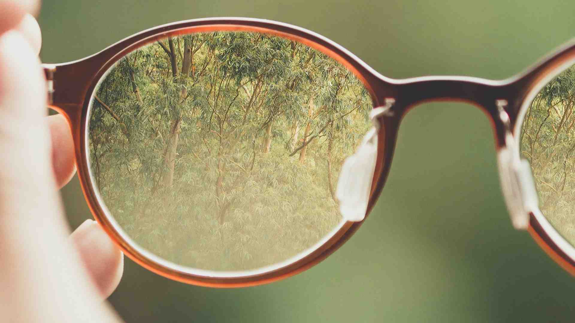 Through the Lens of Love