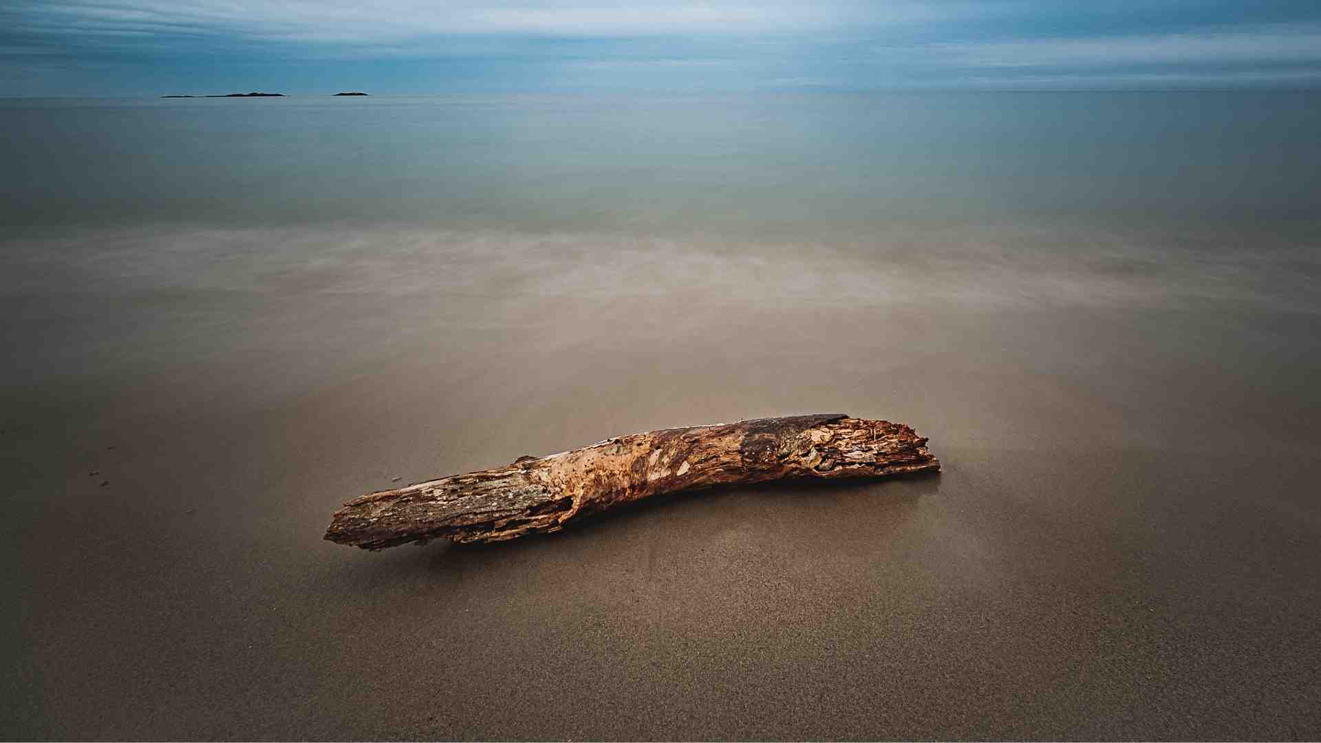 A Husband Finds the Log in His Own Eye - Part 1