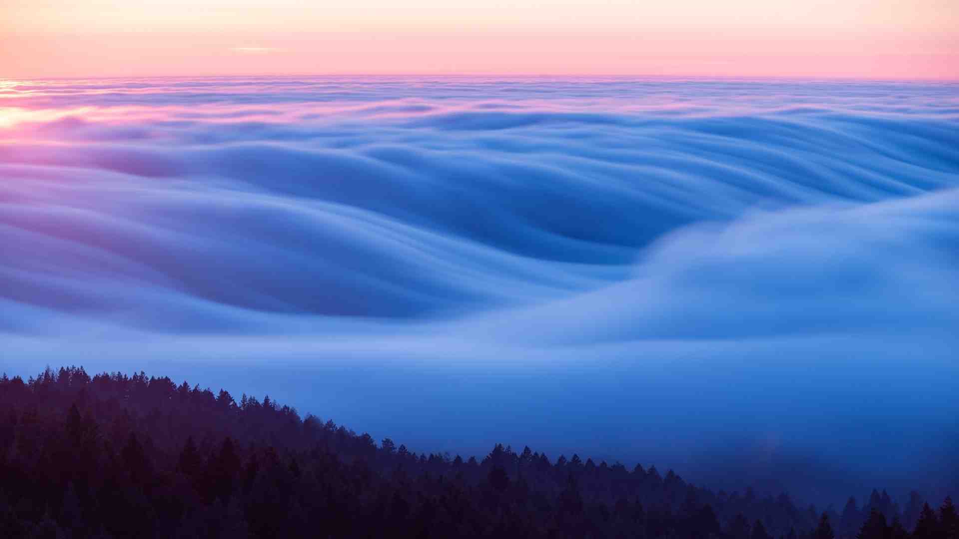 She Changed Her Marriage