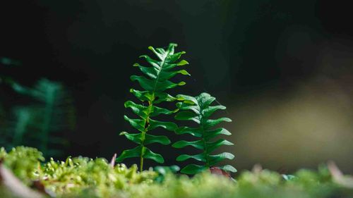 3 Ways to Parent as a Team