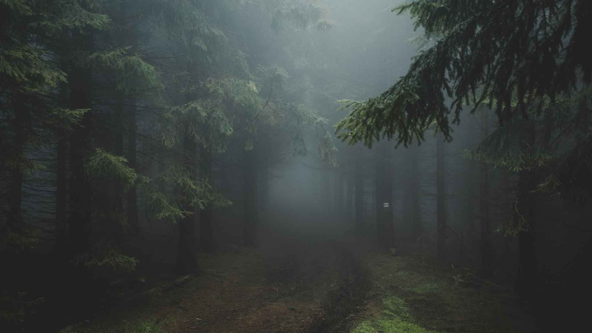 Is Lying, Cheating, And Stealing For Self-Serving Reasons Ever Worth It ...