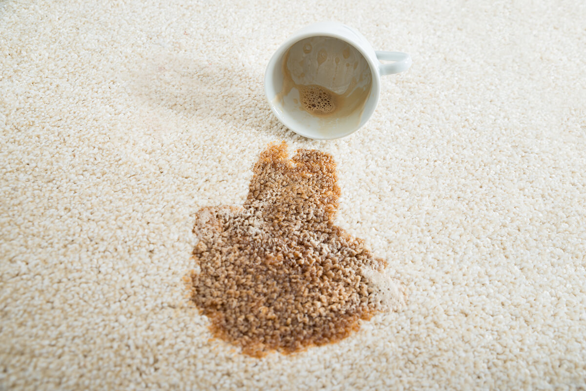 Stain Protection For Carpets | Call 07958 914 543