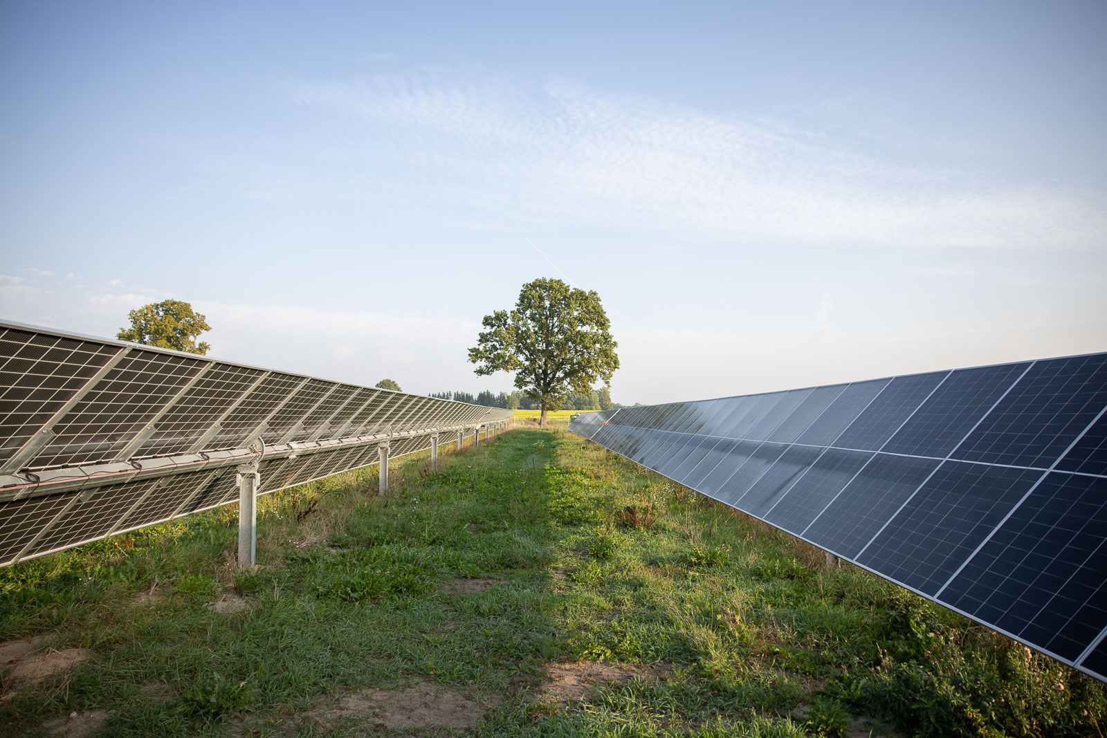 Power Purchase Agreement – A Sustainable Milestone for LTP Group