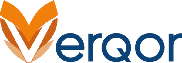 Portfolio: Verqor | Magma Partners