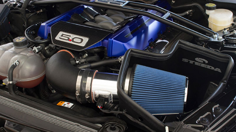 Shop Talk | Bumbera's Performance