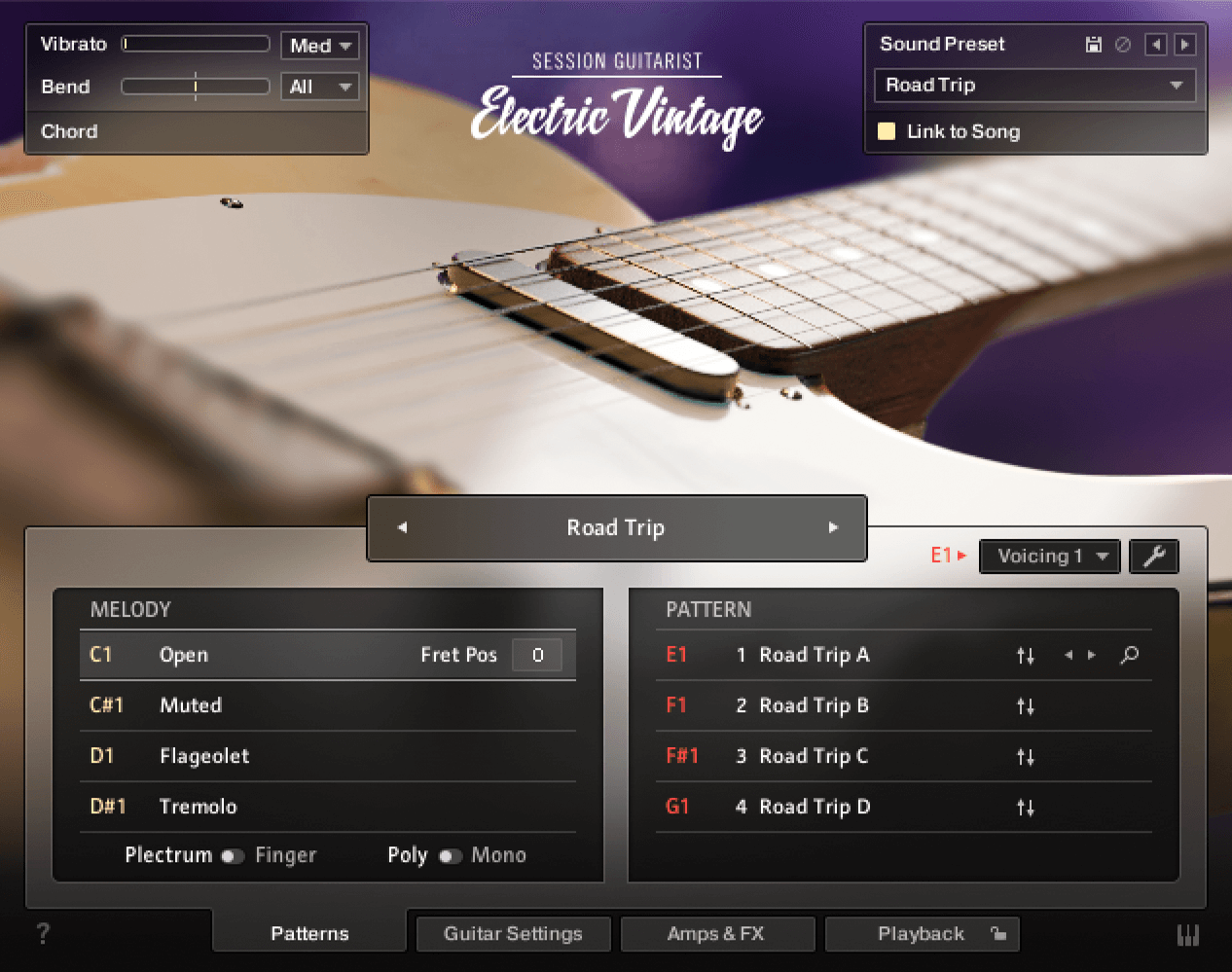 Electric Vintage - Session Guitarist | musicmanta