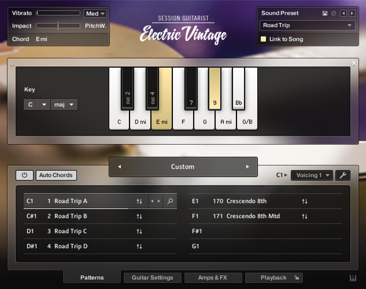 Electric Vintage - Session Guitarist | musicmanta