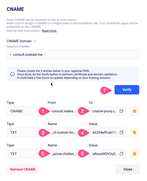 Consolto how-to: Use CNAME for your ClickNTalk page