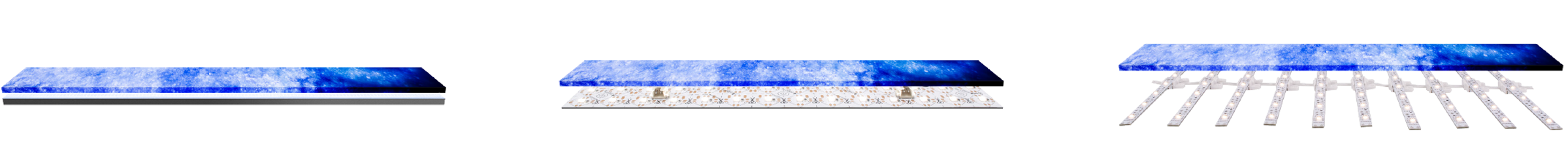 Evo-Lite | How To Order