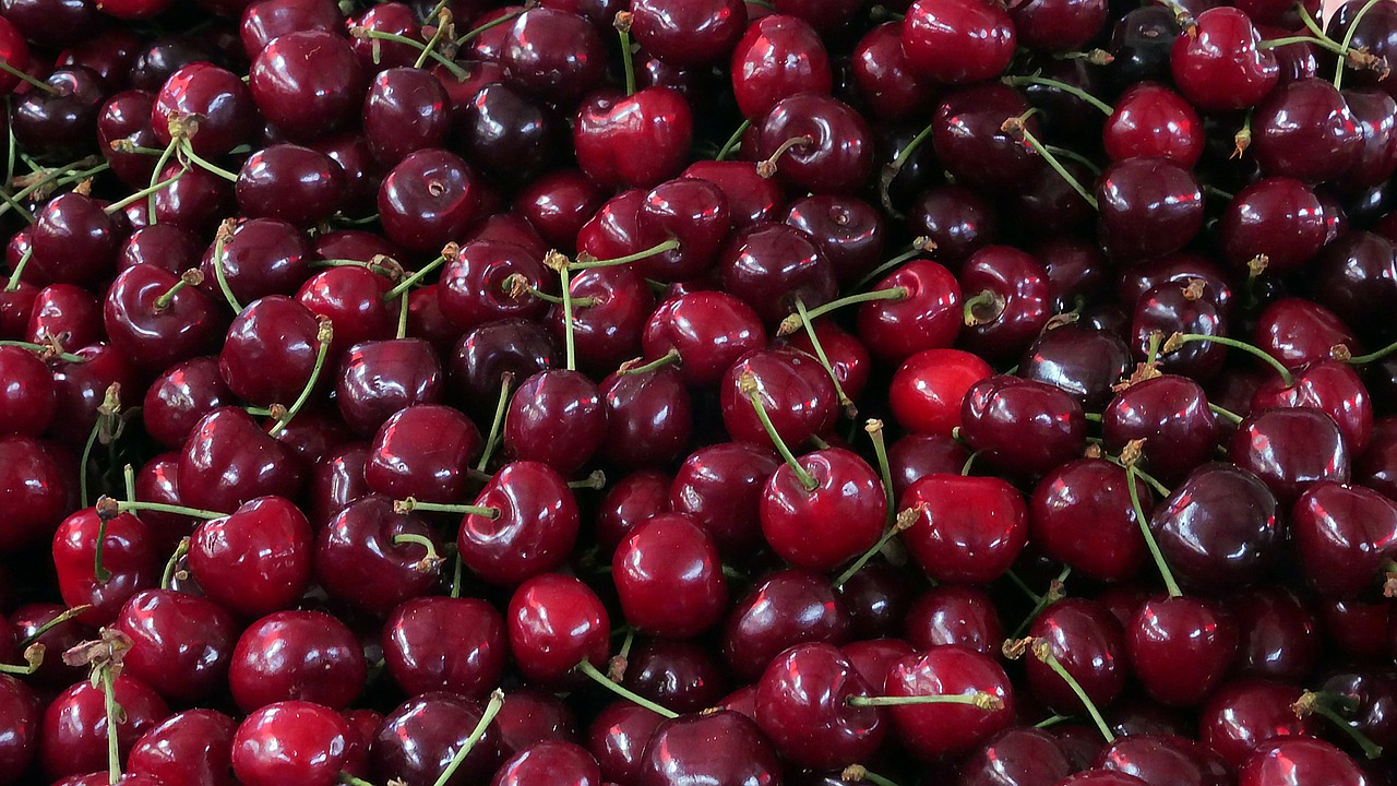 The Superior Cherries of Central Otago