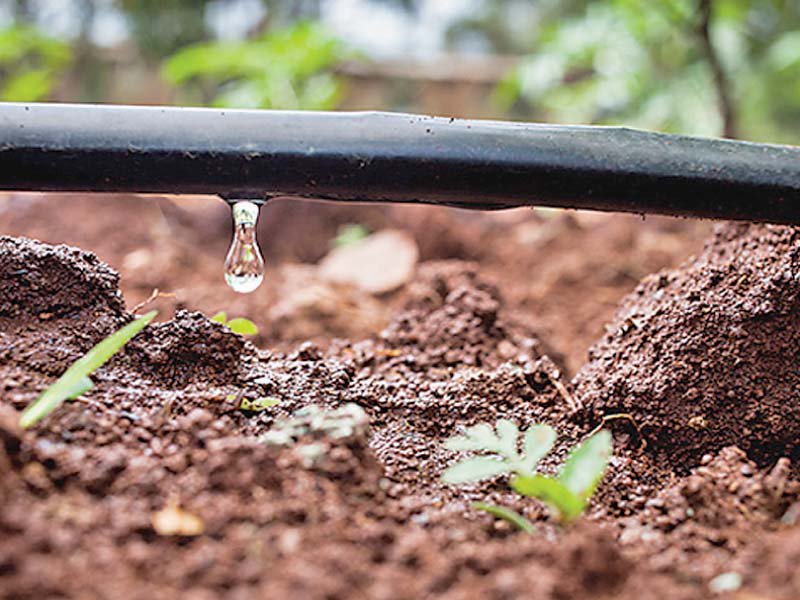 Using a Spin-Down Filter To Prevent Plugging In Drip Irrigation Systems ...