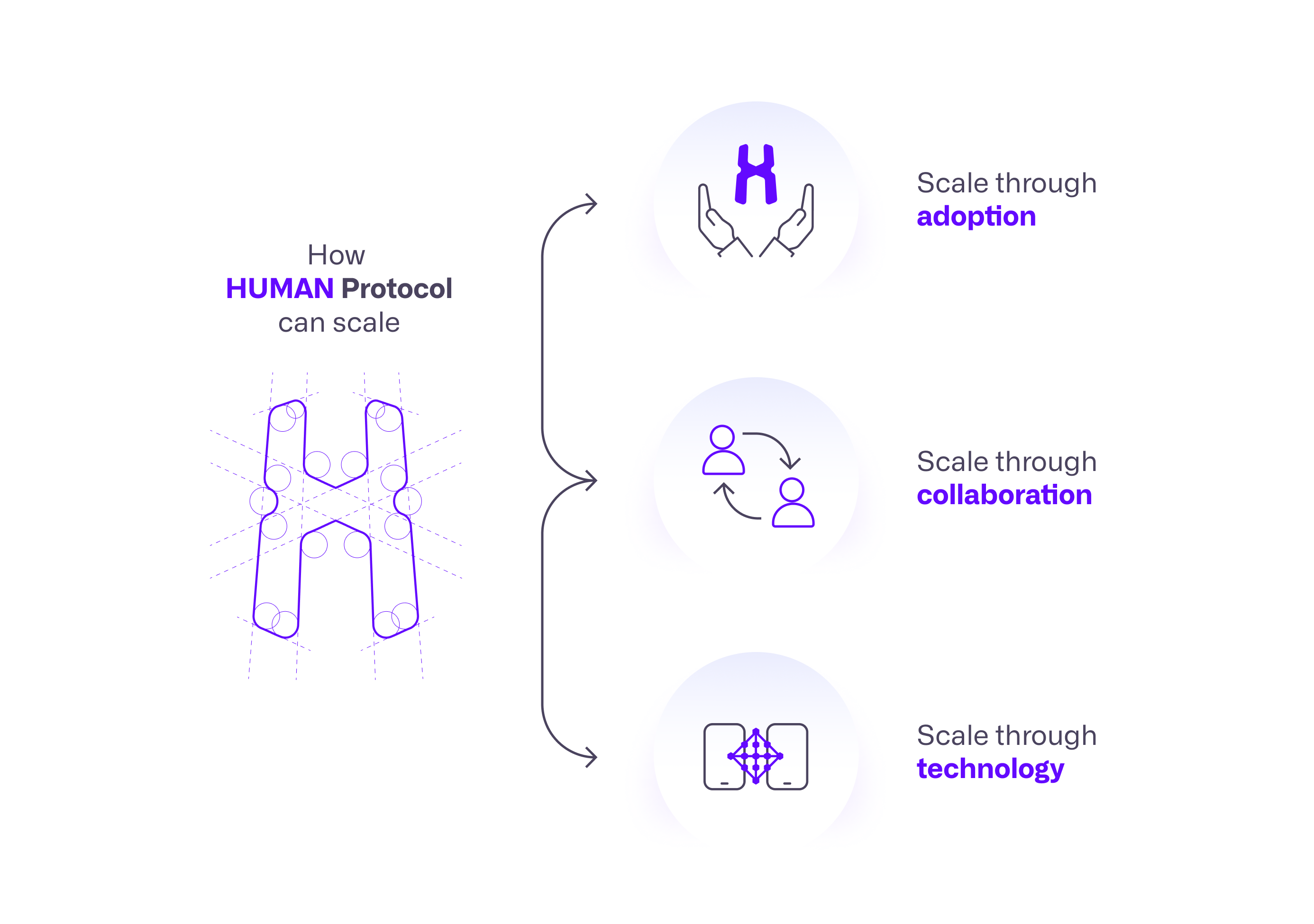 ‍How HUMAN Protocol can scale | Blog - HUMAN Protocol