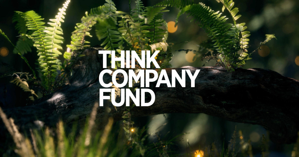 Think Company Fund