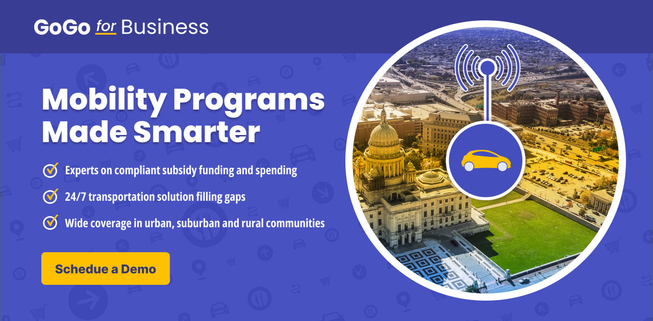 GoGo For Business: Government