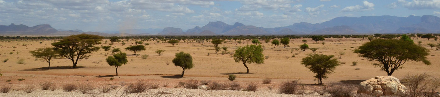 Mulago Foundation | Our Team