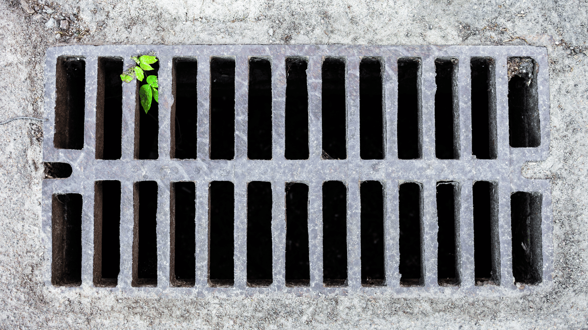 The Importance of Surface Drains: Preventing Water Damage and Flooding